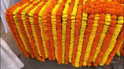 ගිජුකුළු පව්වේ දී සිදු කළ අසිරිමත් පින්කම Youtube