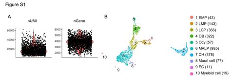 成脂谱系前体细胞通过瞬时扩增和肌成纤维细胞转化介导骨髓放射修复 腾讯云开发者社区 腾讯云