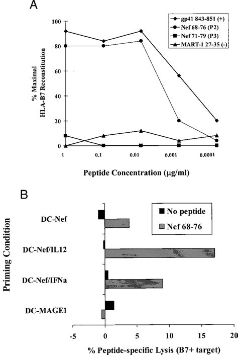 Recognition Of Hla B7 Restricted Nef Epitope By T Cells Primed With Dc