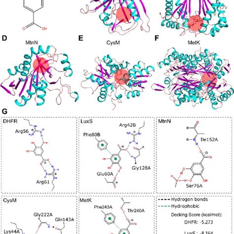 Virtual Screening Predicts The Results Of Molecular Docking Between Key Download Scientific