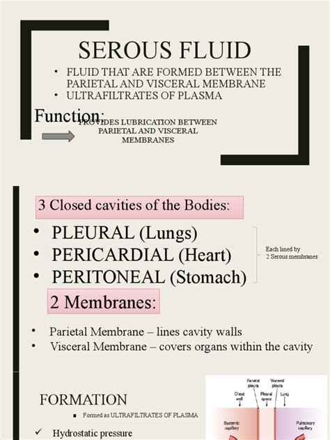 Serous Fluid Color
