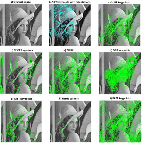 Feature Keypoints Corresponding To The Most Important Descriptors The