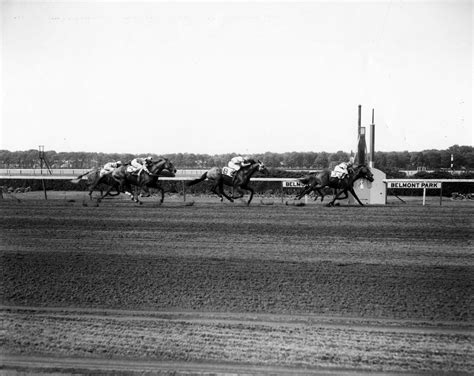 Bold Ruler Ky National Museum Of Racing And Hall Of Fame