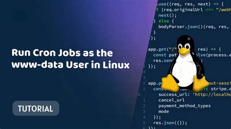 how to run cron jobs as the data user in linux easy step by step
