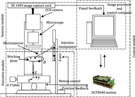 Robotic Cell Injection Systems Download Scientific Diagram