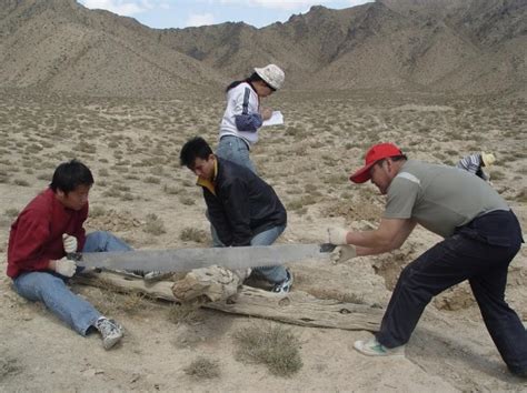 科研动态 中国科学院西安分院