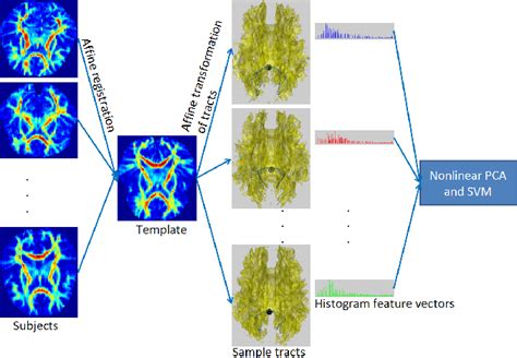 Figure 1 From Classification In Dti Using Shapes Of White Matter Tracts Semantic Scholar