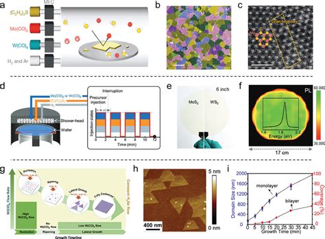 Wafer‐scale Synthesis Of Monolayer Mx2 Film Via Mocvd Route A Diagram Download Scientific