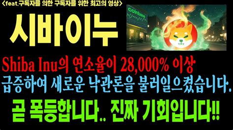 시바이누 시바이누코인 시바이누코인전망 코인전망 비트코인 이더리움 도지코인 Youtube