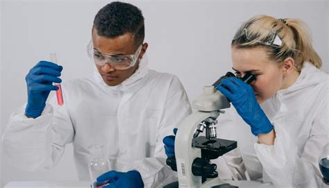 Inside Intelligence Test Bias Intechtired