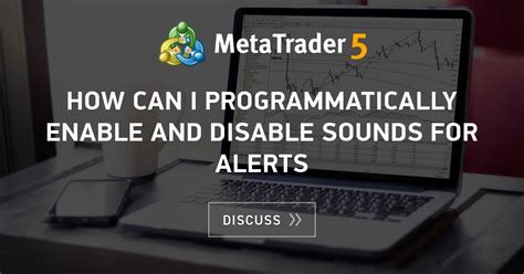 How Can I Programmatically Enable And Disable Sounds For Alerts Mt5 Expert Advisors And