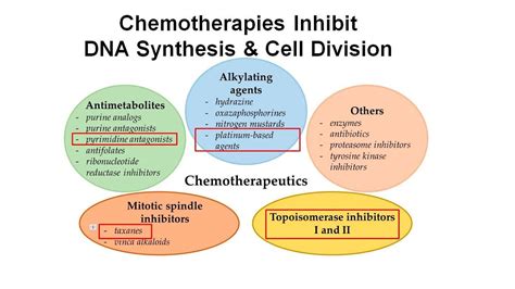 16 Principles Of Chemotherapy Youtube