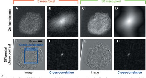 Figure 3 From Electronic Reprint Synchrotron Radiation Alignment Of Low Dose X Ray Fluorescence