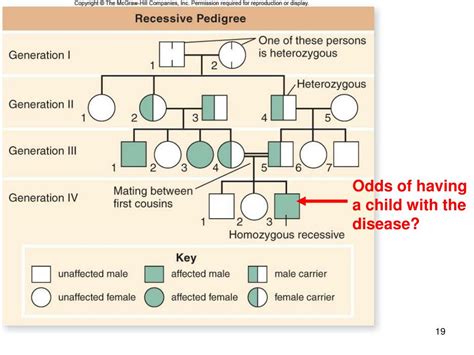 Ppt Chromosomes Mapping And The Meiosis Inheritance Connection Powerpoint Presentation Id