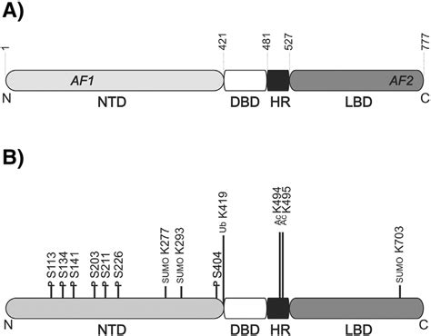 Gr Structure A Structure Of The Human Grα A Consisting Of An