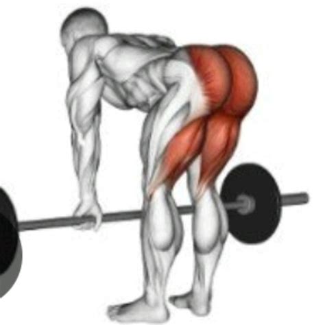 Rdls By Kc H Exercise How To Skimble Workout Trainer