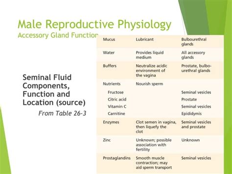 Physiology Of Sexual Differentia PPT Pregnancy Reproductive Health