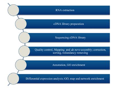 Rna Seq Workflow From Extraction To Differential Expression Analyses