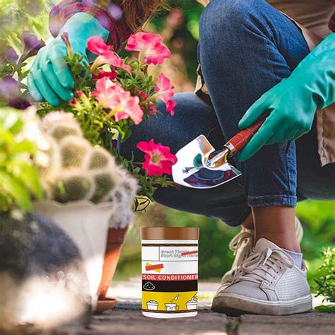 Soil Improves Compaction Promotes Root Growth