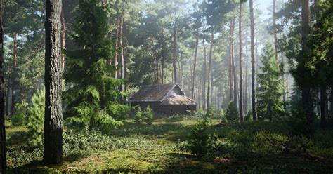 Heres How You Create Realistic Forests With Blenders Geometry Nodes