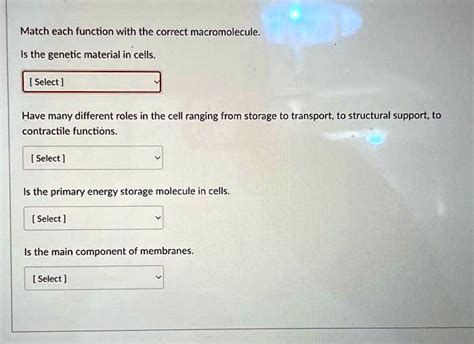 Solved Match Each Function With The Correct Macromolecule Is The Genetic Material In Cells