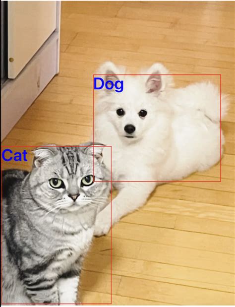 Ios Machinelearning 系列（4）—— 静态图像分析之物体识别与分类 阿里云开发者社区