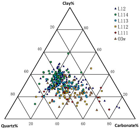 Characteristics Of Micronano Pores In Shallow Shale Gas Reservoirs And Their Controlling
