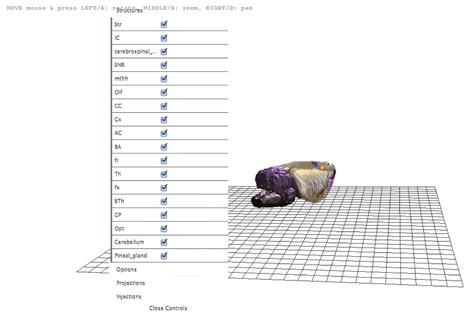Javascript Refresh Datgui With New Values Stack Overflow