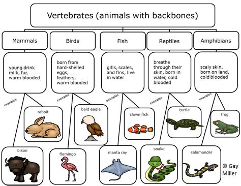 Semantic Map Vs Concept Map At Nicholas Heaton Blog