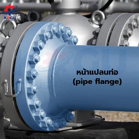 หน้าแปลน Flange ความสำคัญ ชนิดและการใช้งาน Kogu Industries จำหน่าย หน้าแปลน วาล์ว น็อต สก