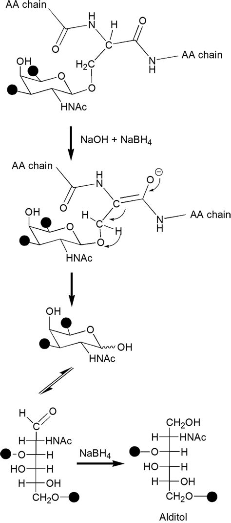 Reductive Elimination Of O Linked Glycans Glycan Chains Download Scientific Diagram