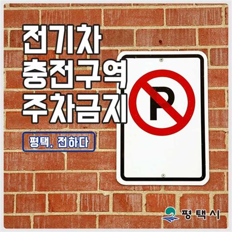 일반차량 과태료 부과 전기차 충전구역 주차금지 네이버 블로그