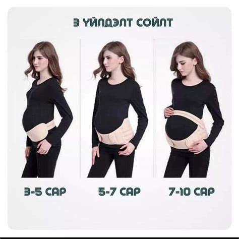 Сойлтын бүс