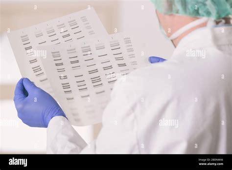 Scientist Analizing DNA Sequence In The Modern Laboratory Stock Photo Alamy