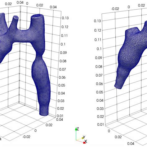 Aortic Geometries With Triangular Surface Meshes Left Download Scientific Diagram
