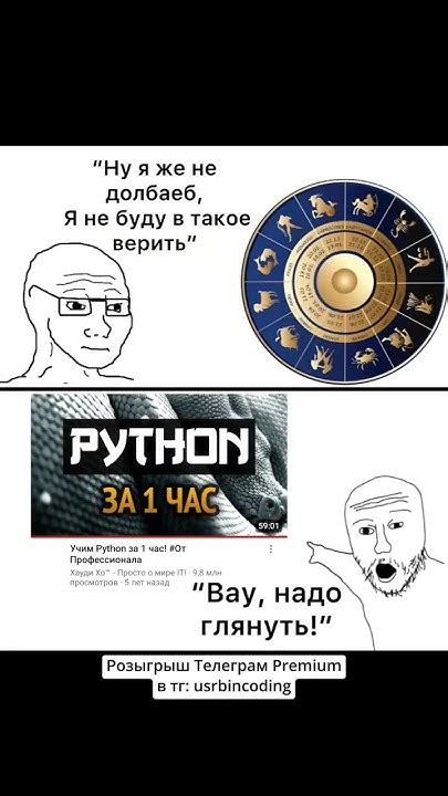 А вы как учите программирование программирование айти Coding Python шедевропайтон питон