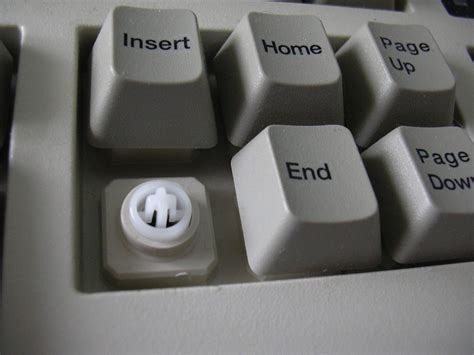 The Missing Delete Button Free Photo Download Freeimages
