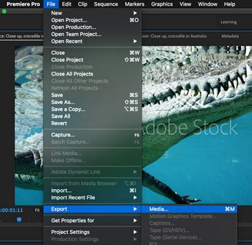 Export Adobe Stock Videos Using Premiere Pro Presets For Contributors