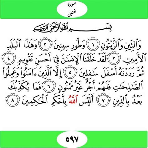 Discover The Magic Of Surah Al Tin And Al Zaitoun