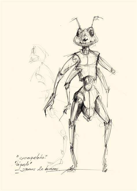Hormiga Bocetos Insectos Animados Ilustraciones