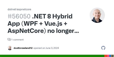 NET 8 Hybrid App WPF Vue Js AspNetCore No Longer Creates Wwwroot