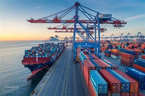 Complete Guide To Export Declaration The First Step To Smoothly Enter The International Market