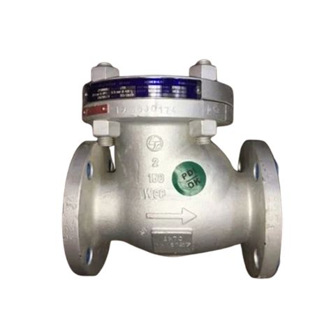 L6t Make Cs Swing Type Flanged End Non Return Valve Port Size
