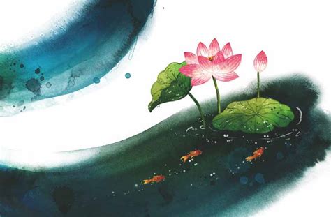 دانلود عکس از نیلوفر آبی