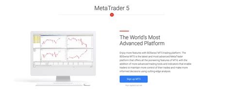 5 Best MetaTrader 5 Demo Accounts Comparison 2023