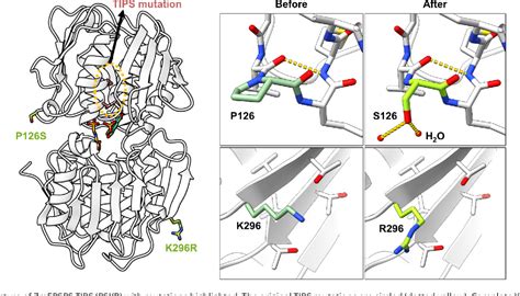 Figure 5 From Evolving Dual Trait Epsp Synthase Variants Using A Synthetic Yeast Selection
