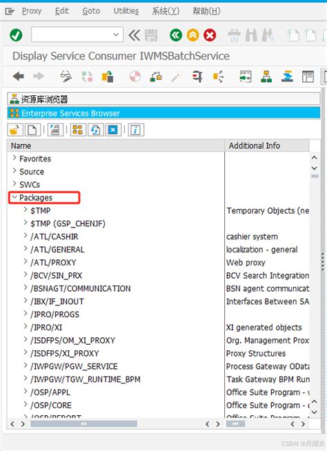 Sap Sproxy 配置 Csdn博客