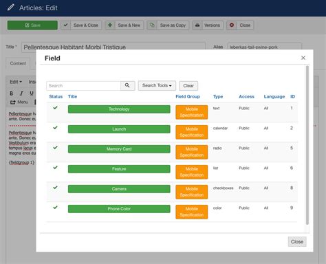 How To Use Joomla 37 Custom Fields Joomshaper