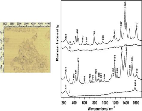 Time Dependence Sers Spectra Acquired From A B164a5 Cell Excitation