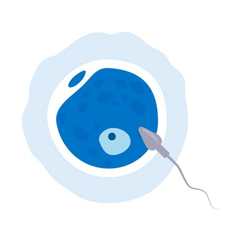 Conventional Ivf Procreate Fertility Center Of Virginia Infertility
